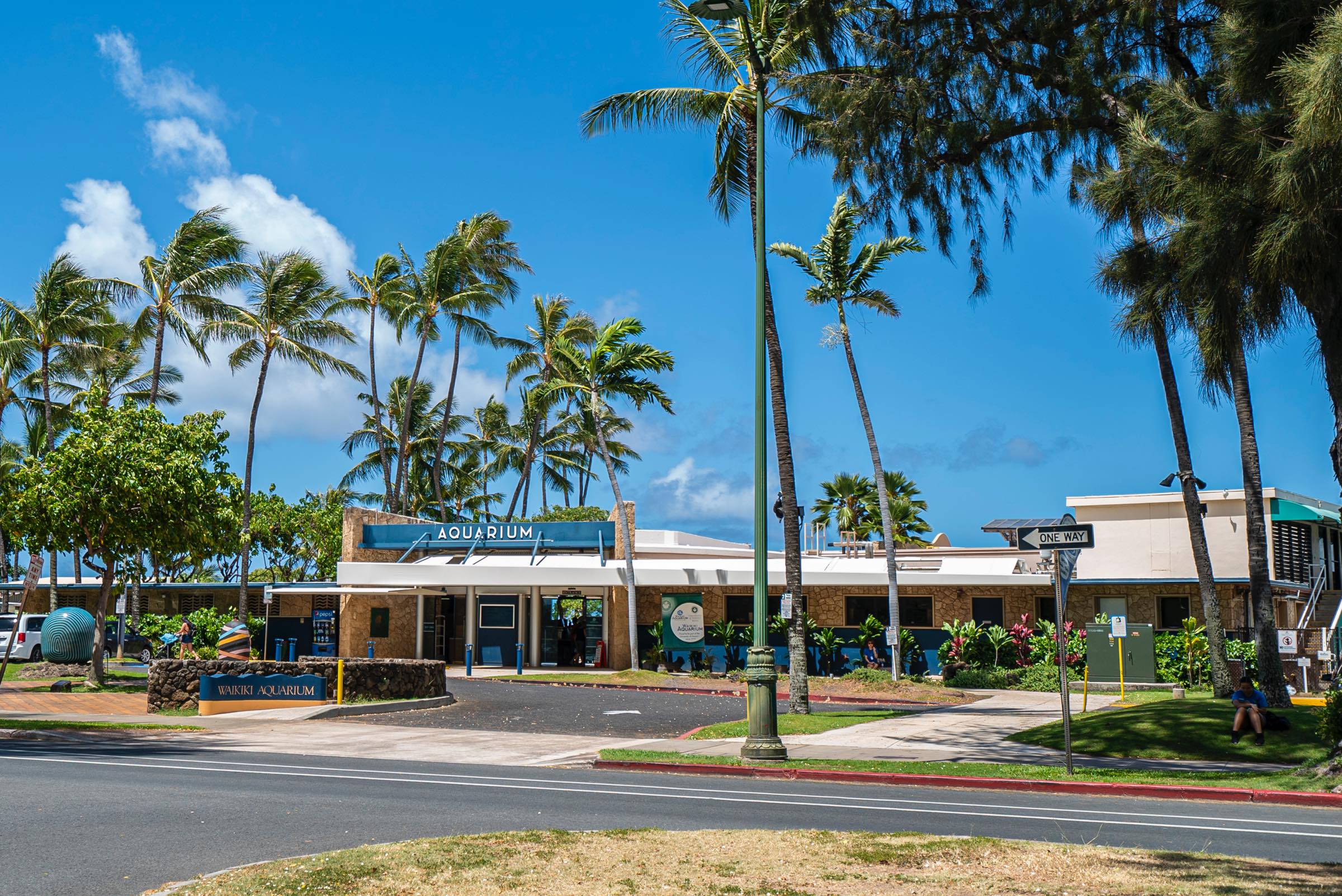 Colony Surf (CS05) - Colony Surf. Peaceful 1BD Oceanfront Ocean and ...