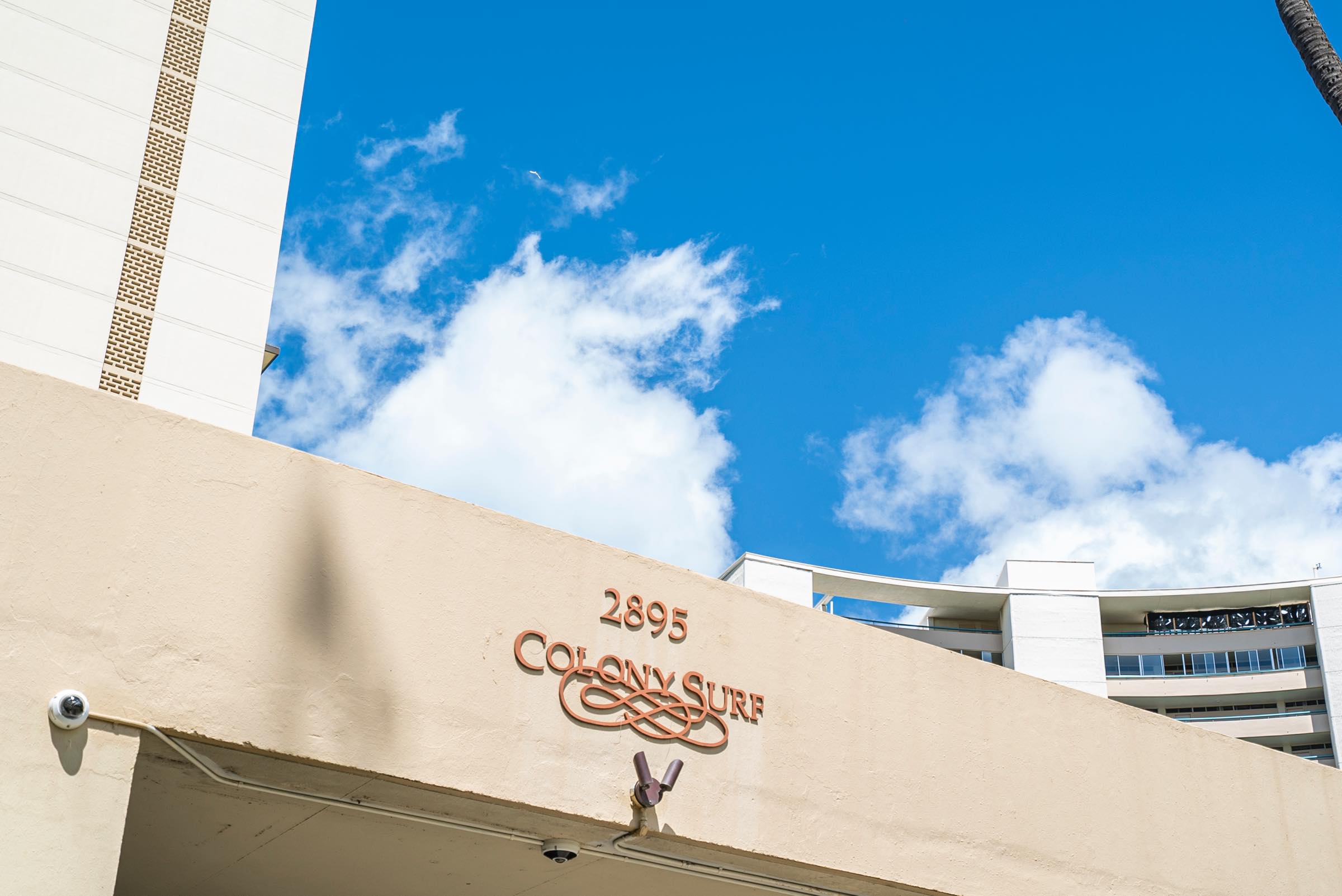 Colony Surf (CS05) - Colony Surf. Peaceful 1BD Oceanfront Ocean and ...