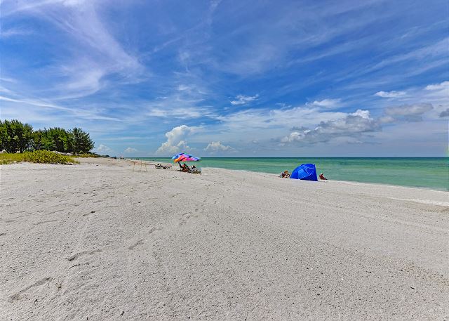 Sand Cay 311
